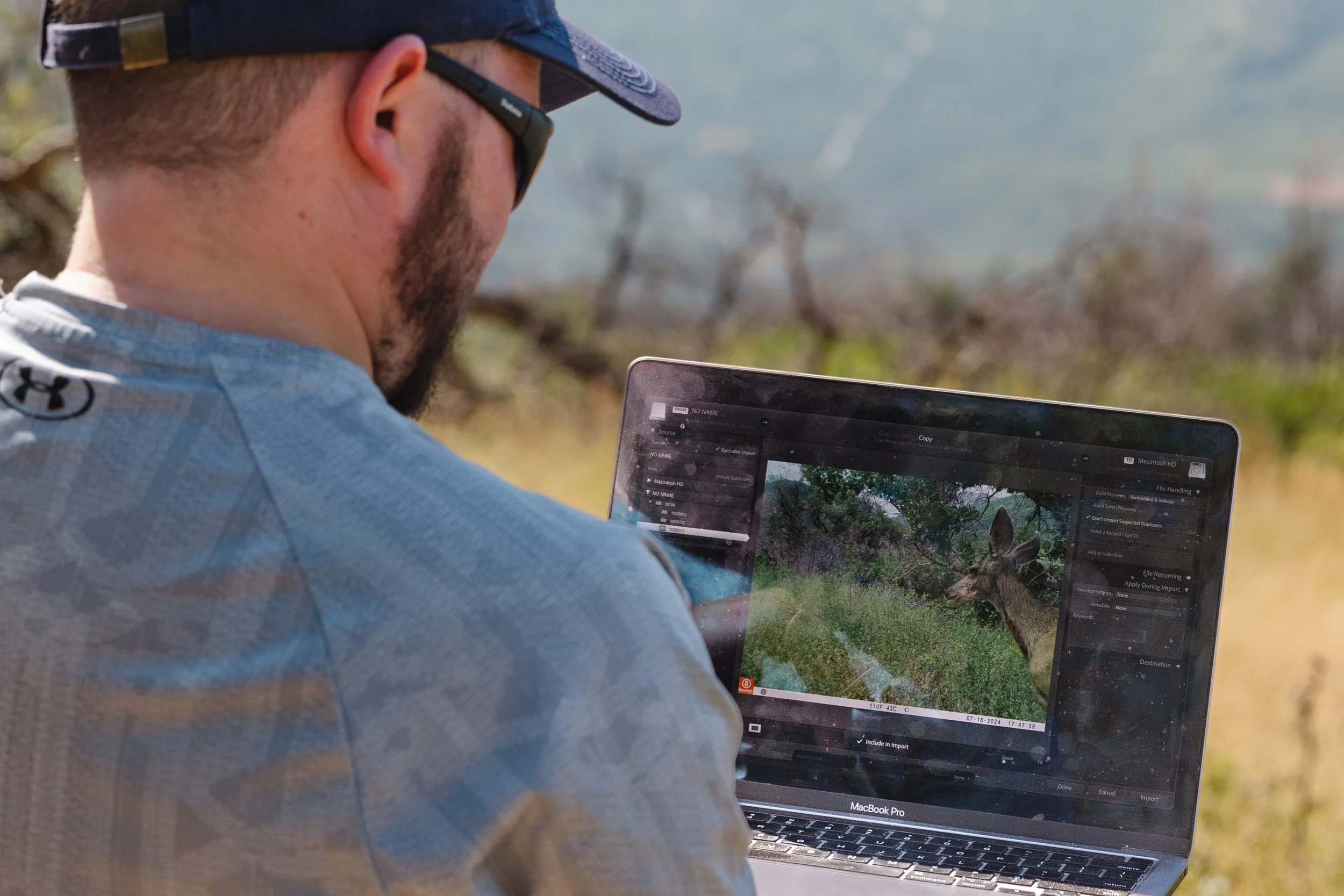 Wildlife Watch Image Analysis — Sageland Collaborative
