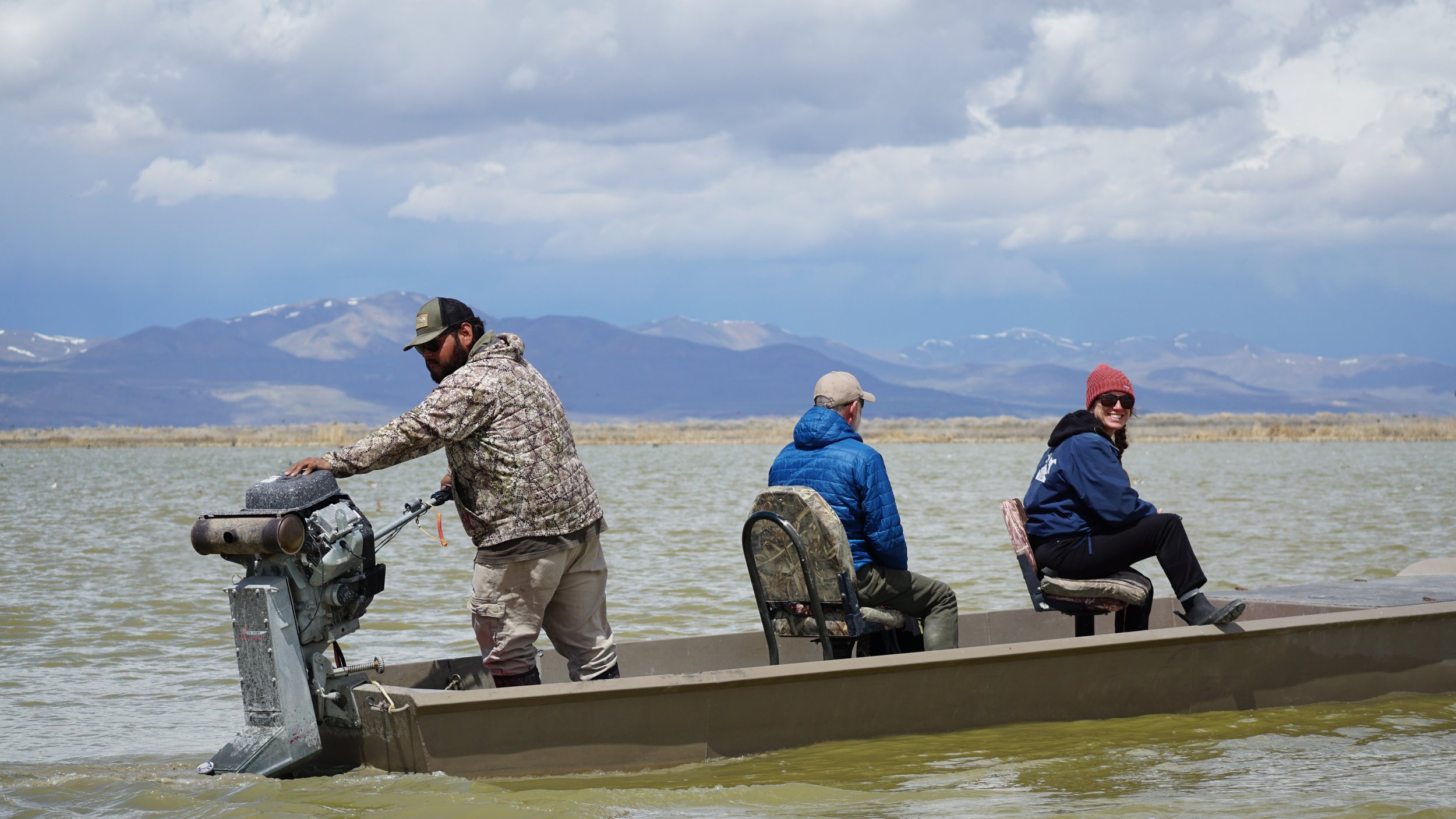 Migratory Shorebird Survey — Sageland Collaborative