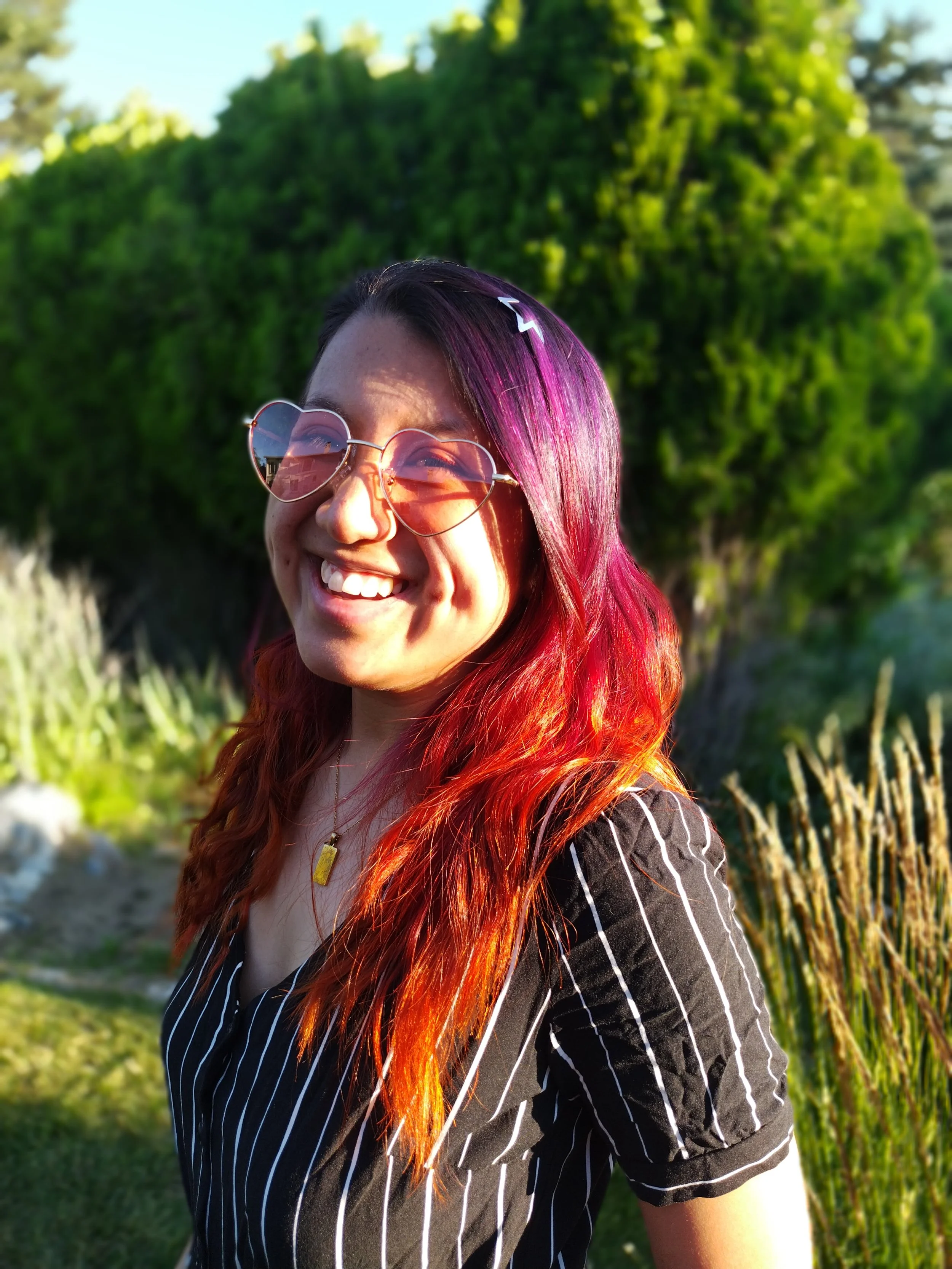 Our Team — Sageland Collaborative