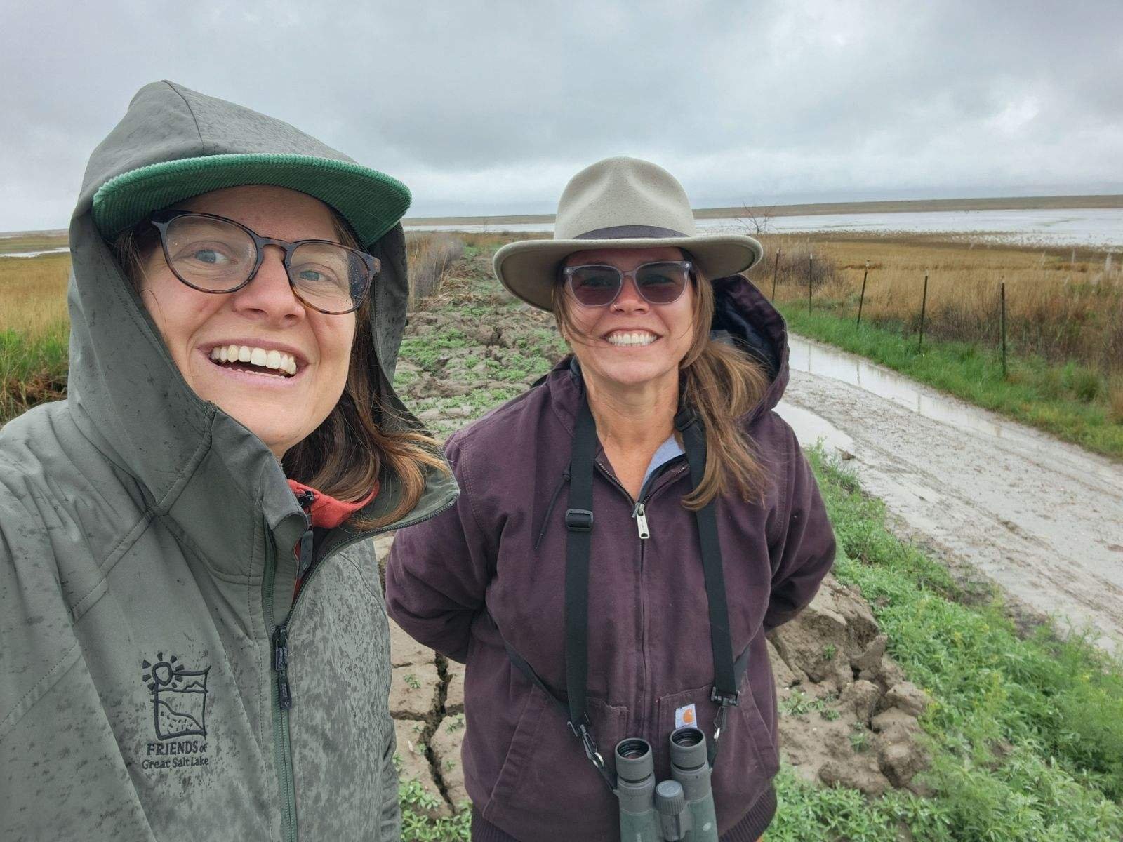 Utah Spring 2026 Shorebird Survey Signup — Sageland Collaborative
