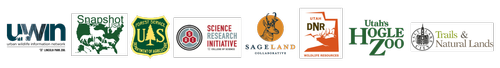 Wildlife Watch Image Analysis — Sageland Collaborative