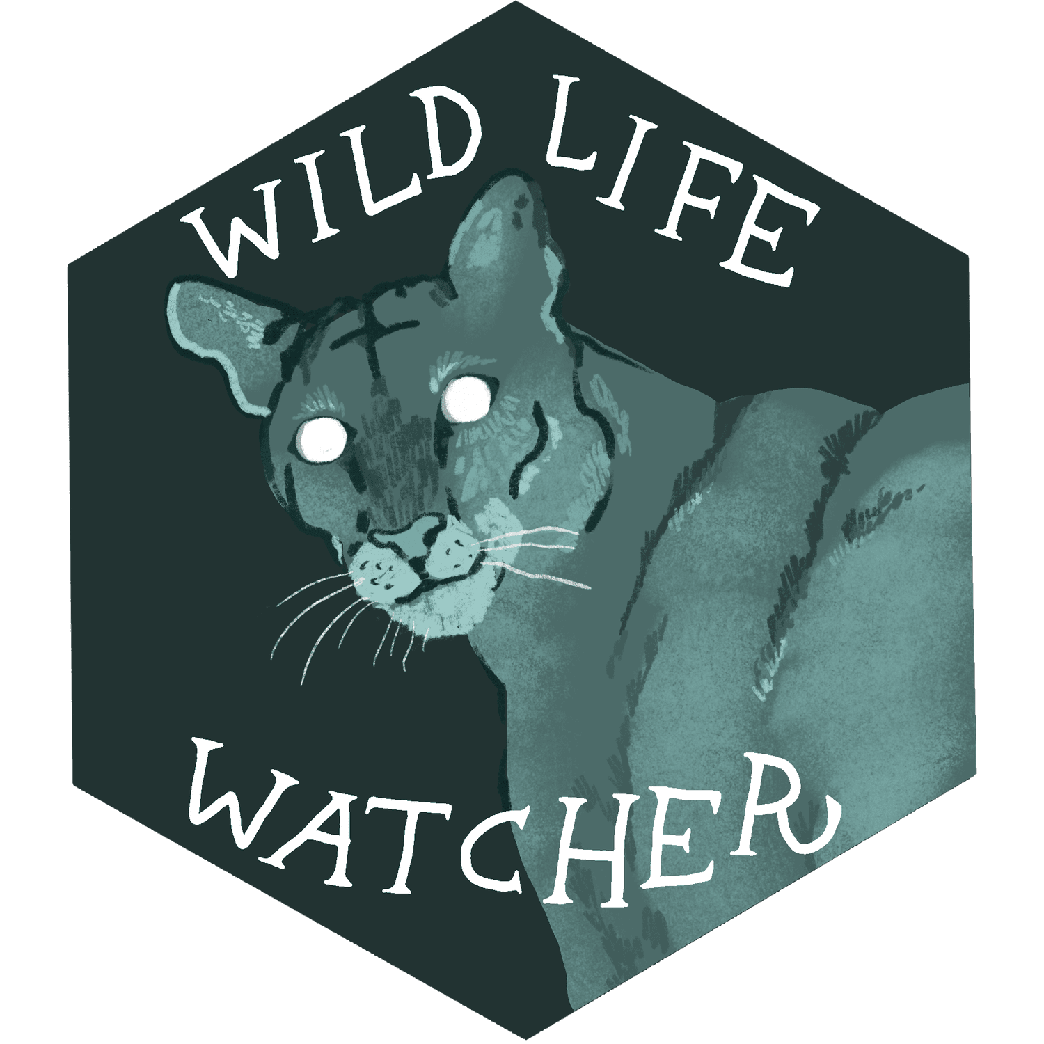 Wildlife Watch Image Analysis — Sageland Collaborative