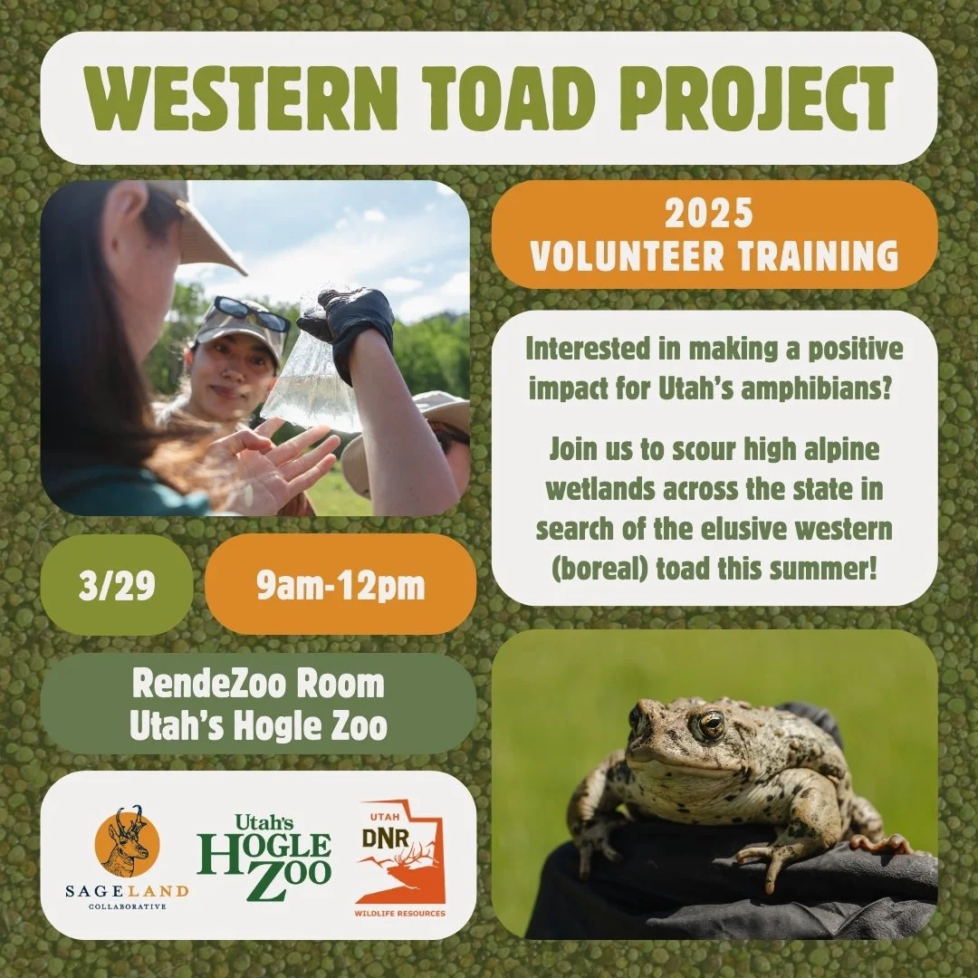 2025 Western Toad Project Training RSVP — Sageland Collaborative