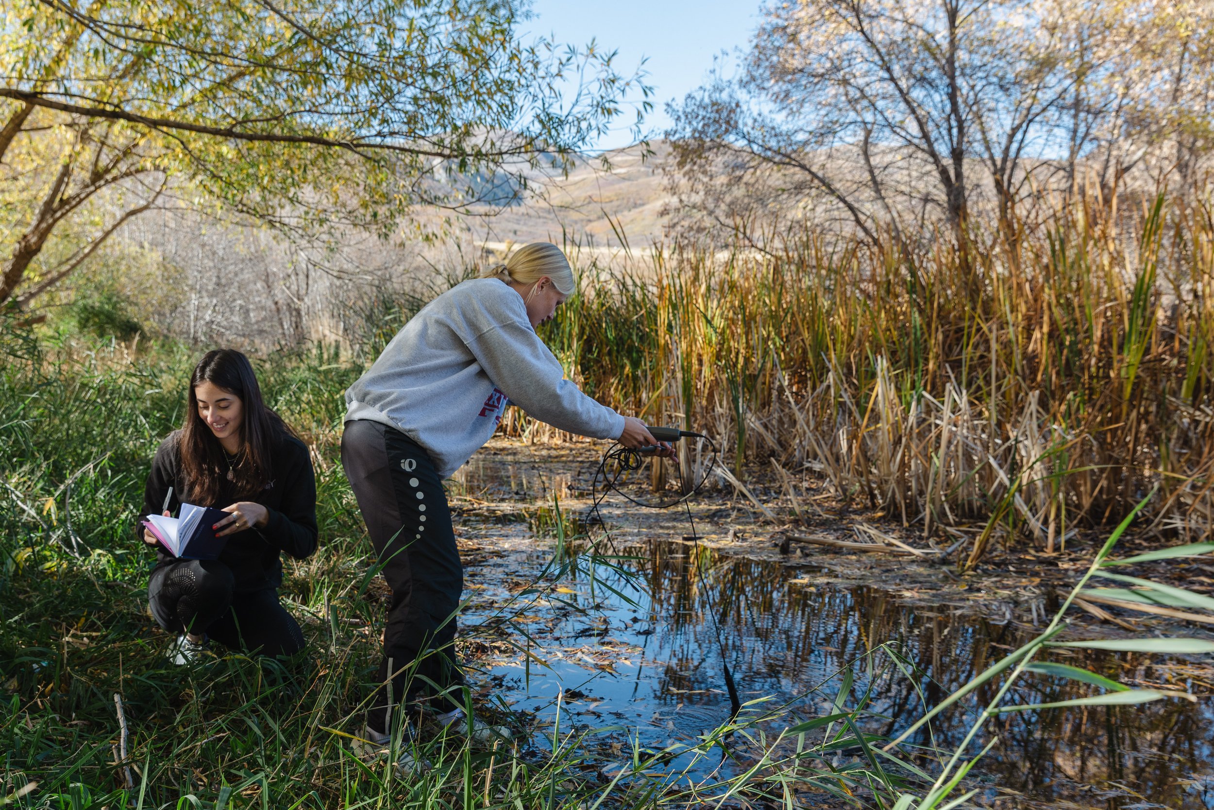 Utah HerpSearch — Sageland Collaborative