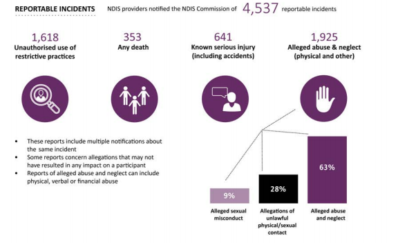 The NDIS Commission's First Annual Report — DSC