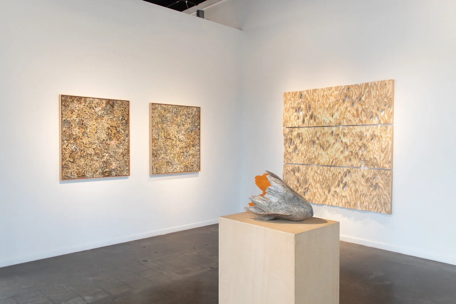 archive — Jessica Drenk