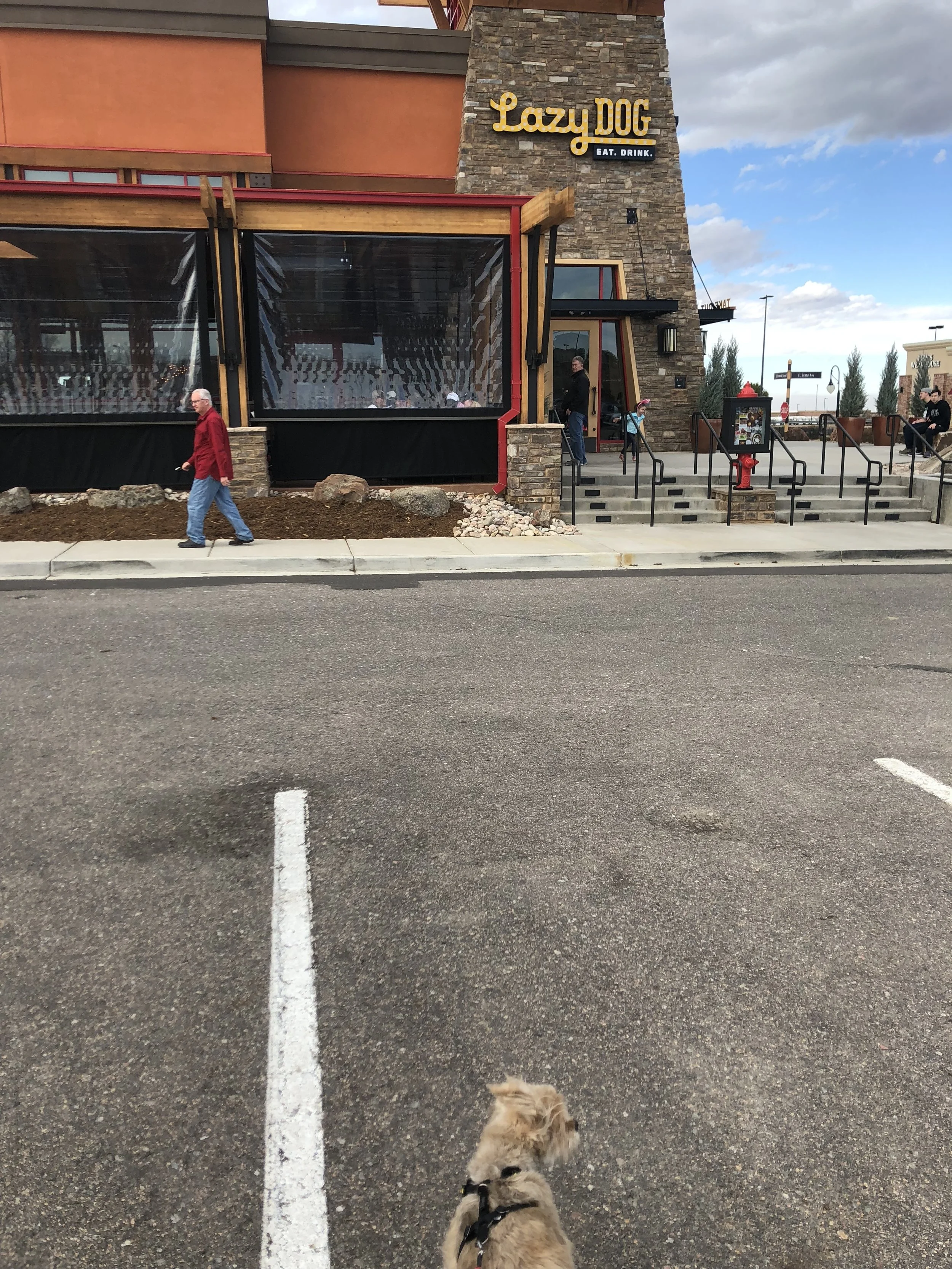 Lazy Dog Restaurant