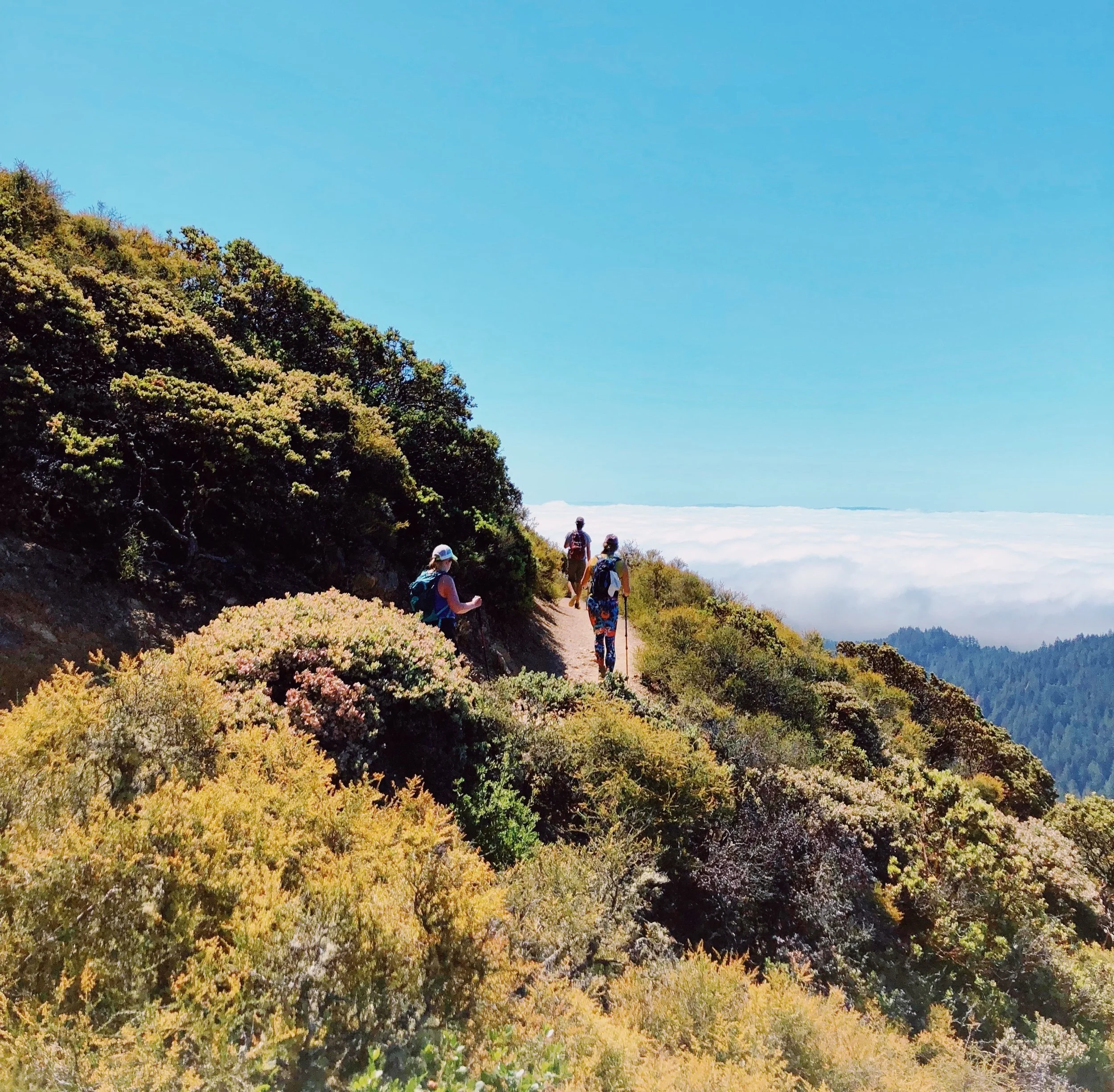 The Coast Ridge - California Health & Wellness Retreat