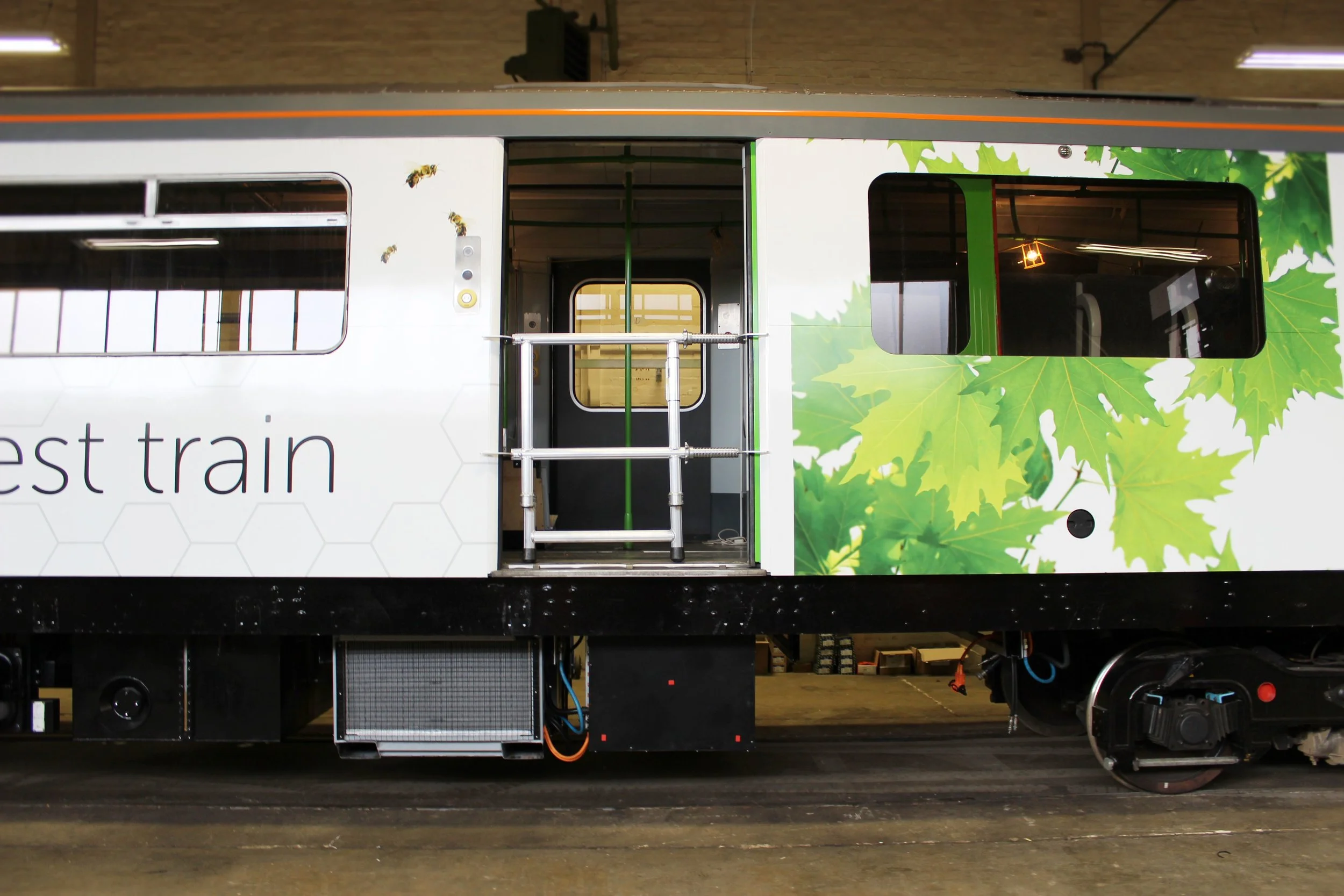 Train Access Platforms | Carriage Door Access | Roof Access | Pitboards ...