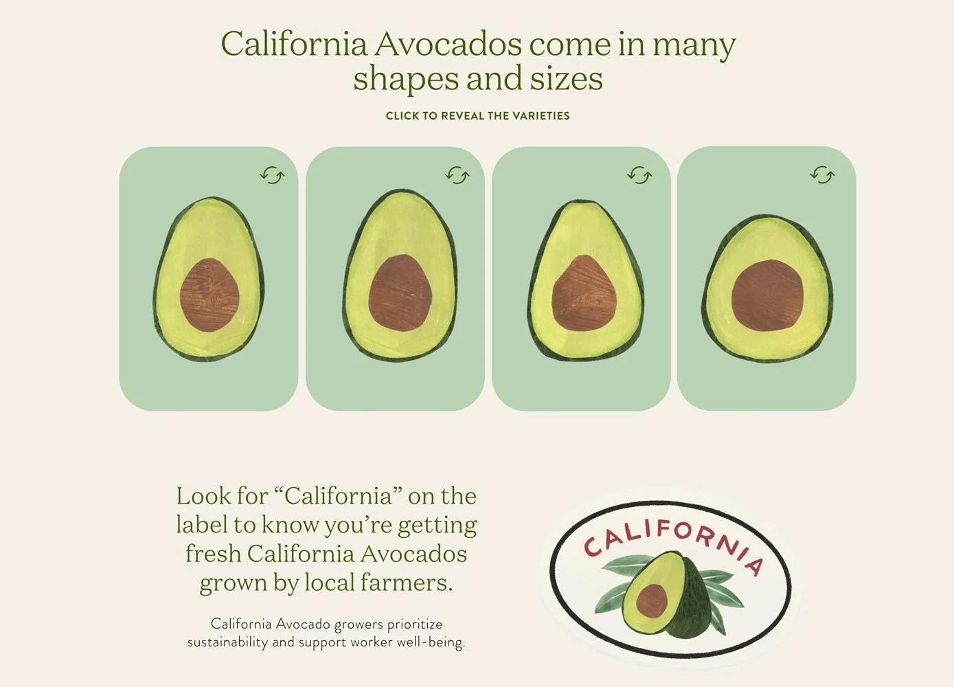 Illustrations for thekitchn + California Avocados collaboration ...