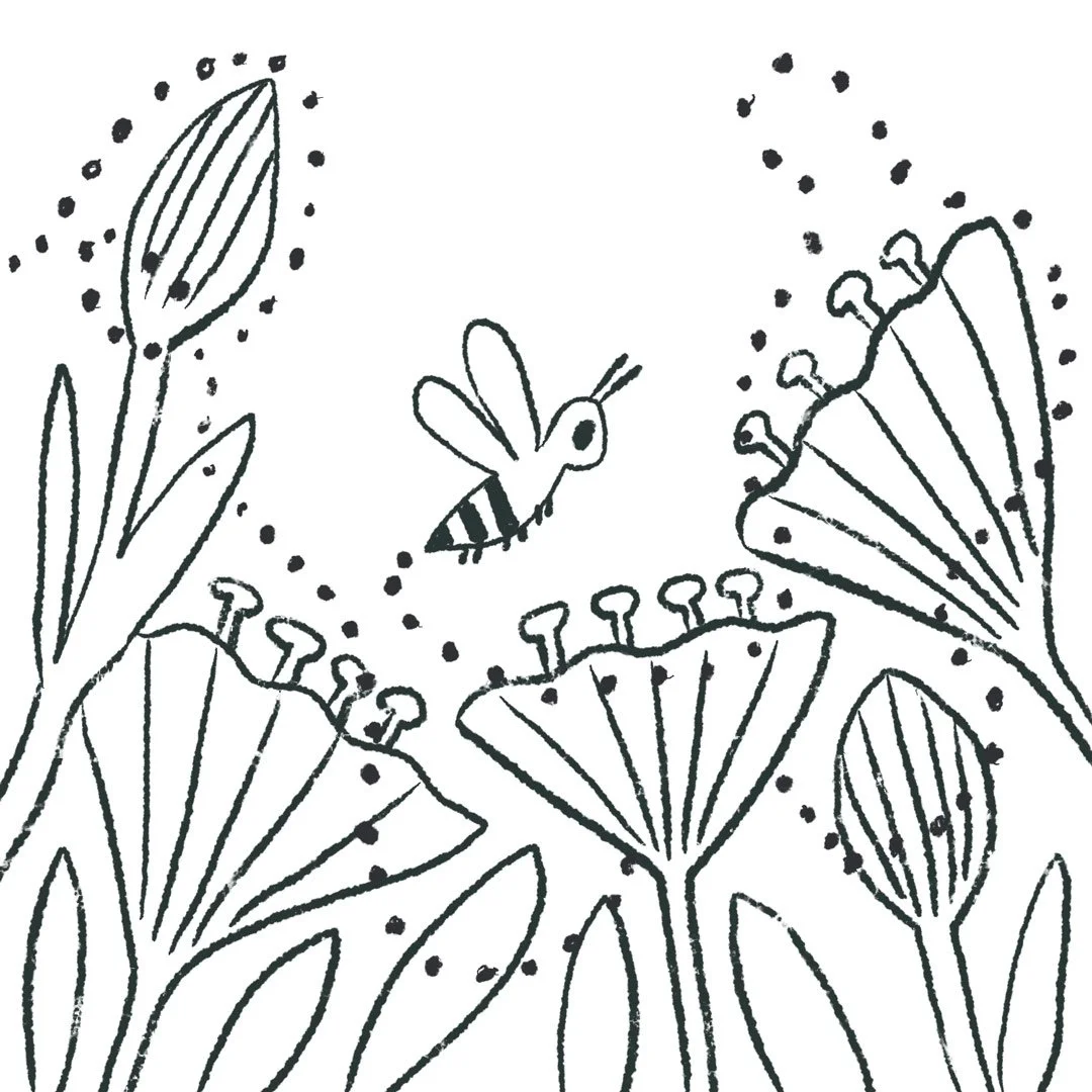 Blog — Penelope Dullaghan