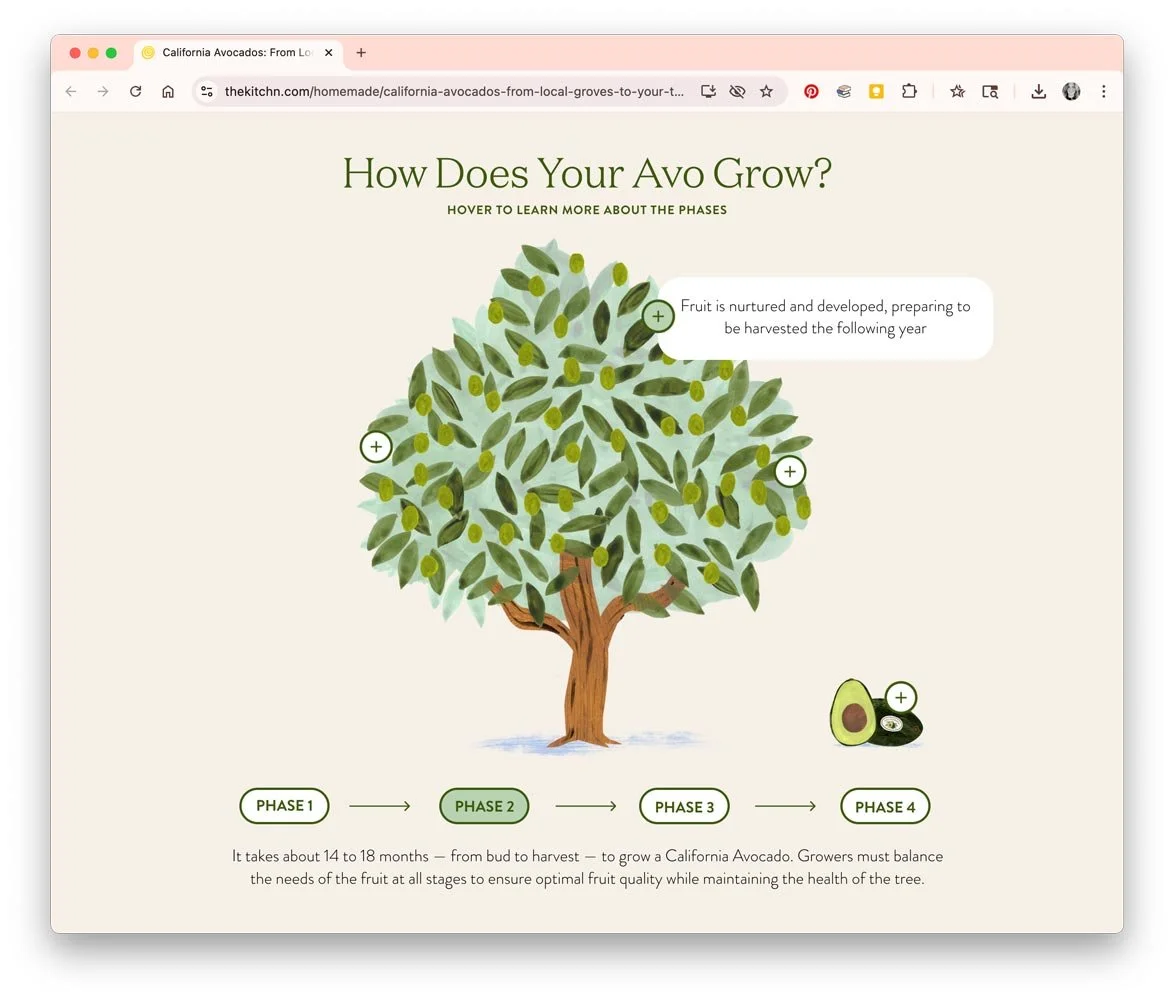 Illustrations for thekitchn + California Avocados collaboration ...
