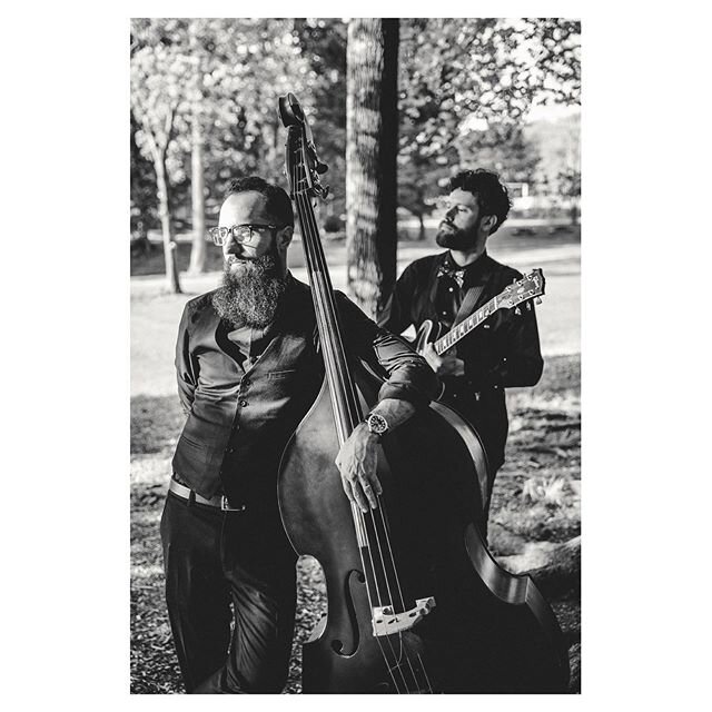 Mod Society - Award Winning Variety Dance Band