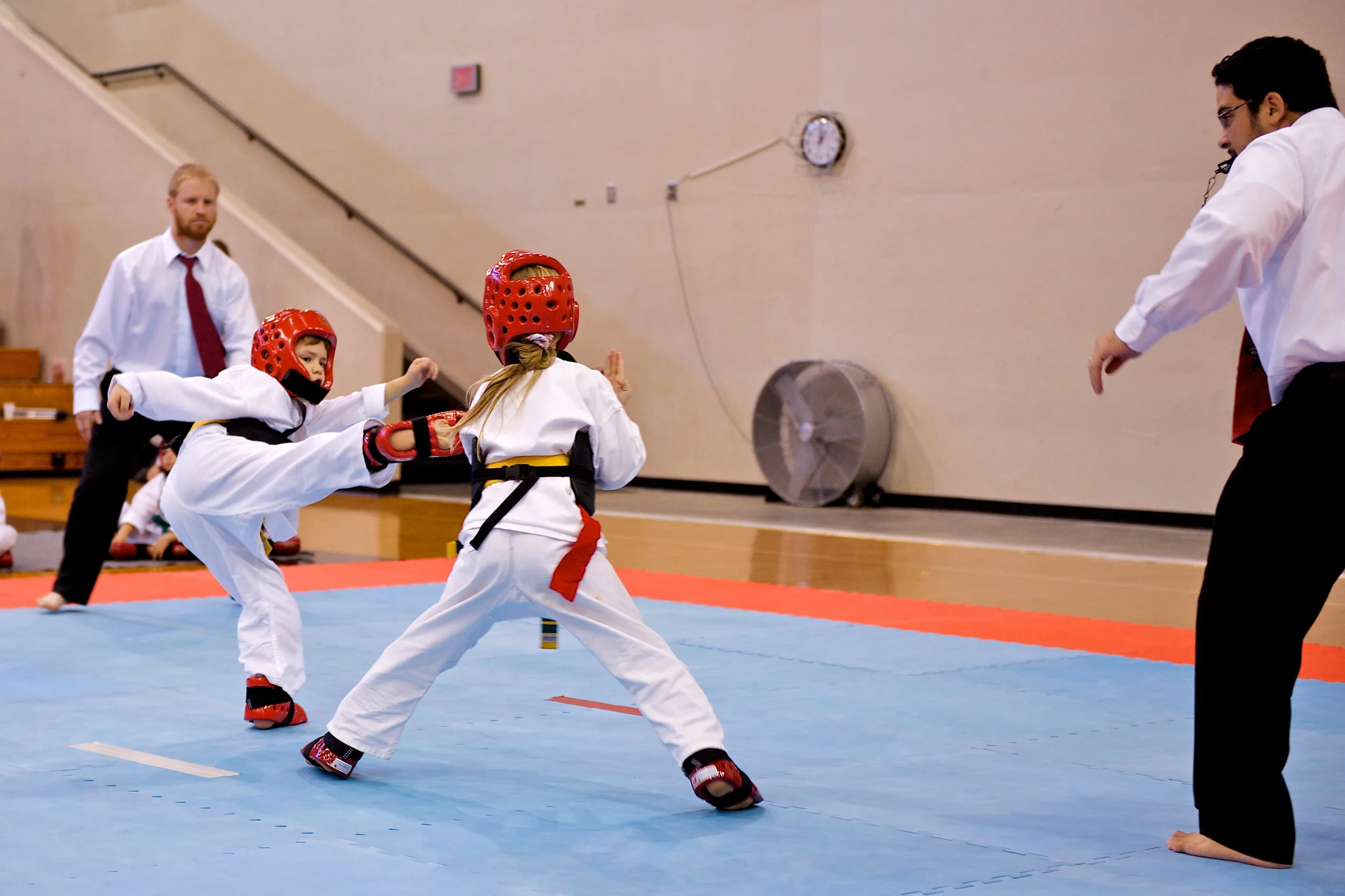 Gymnastics, Free Spar, Grappling, Elite — TaidoKarate.com