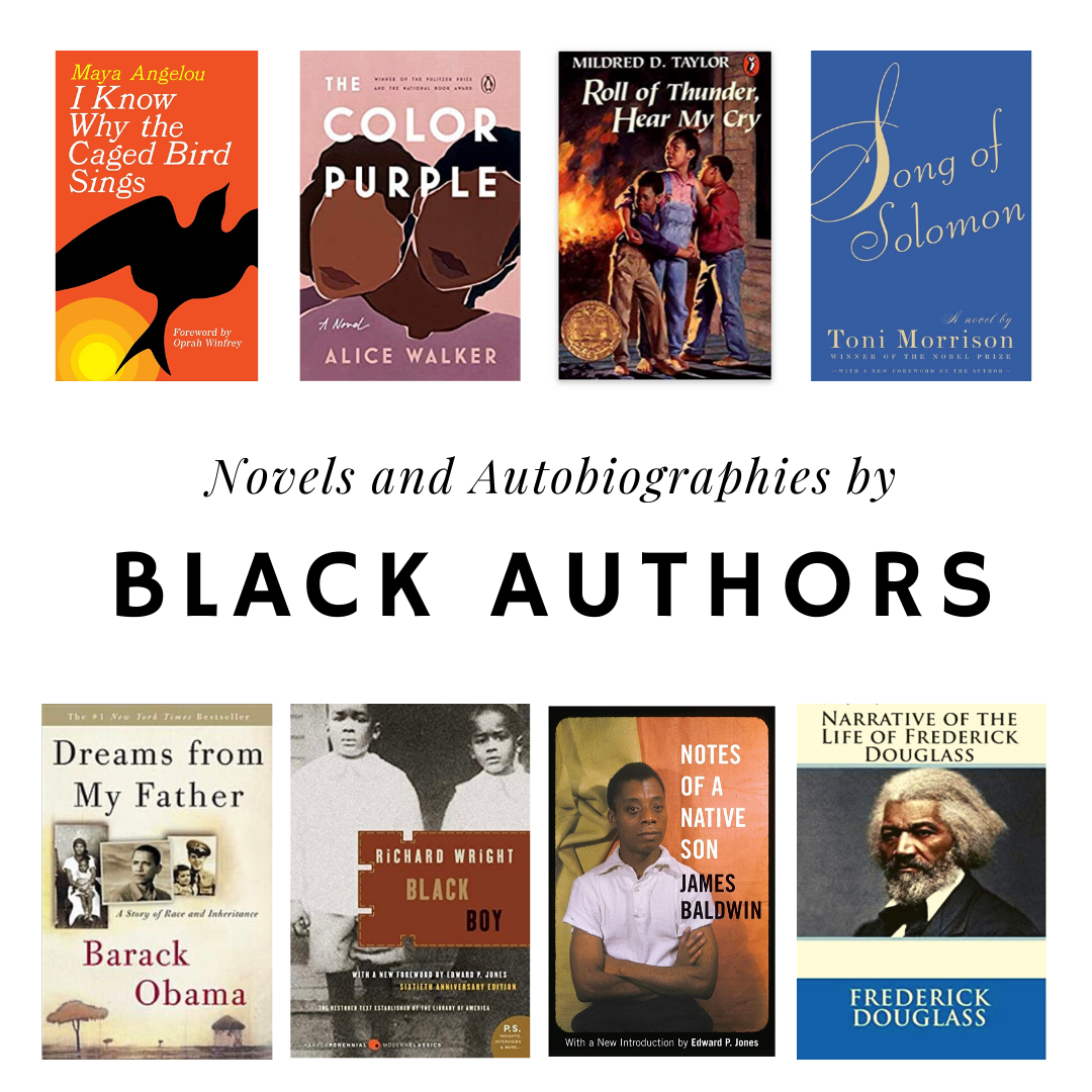Novels & Autobiographies by Black Authors — Mama Manhattan