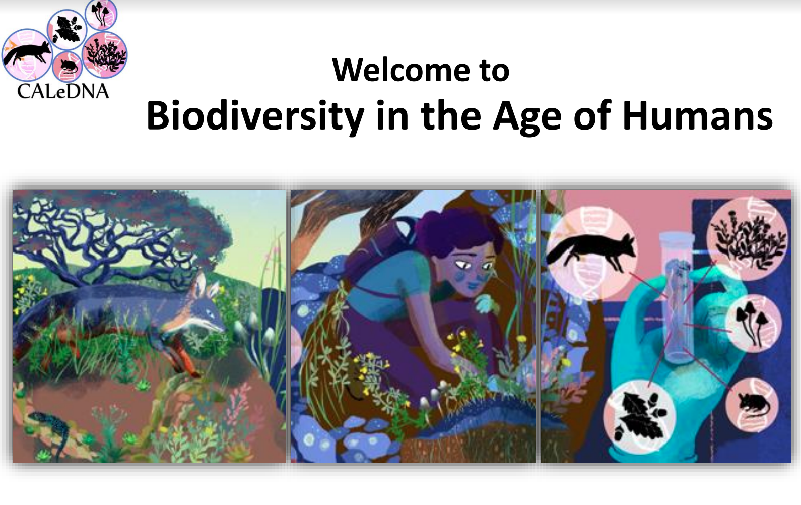 Lecture Slides — Caledna