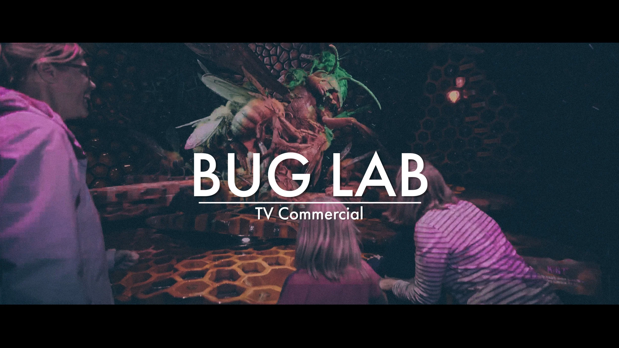 Tiny Empire Collective - Bug Lab