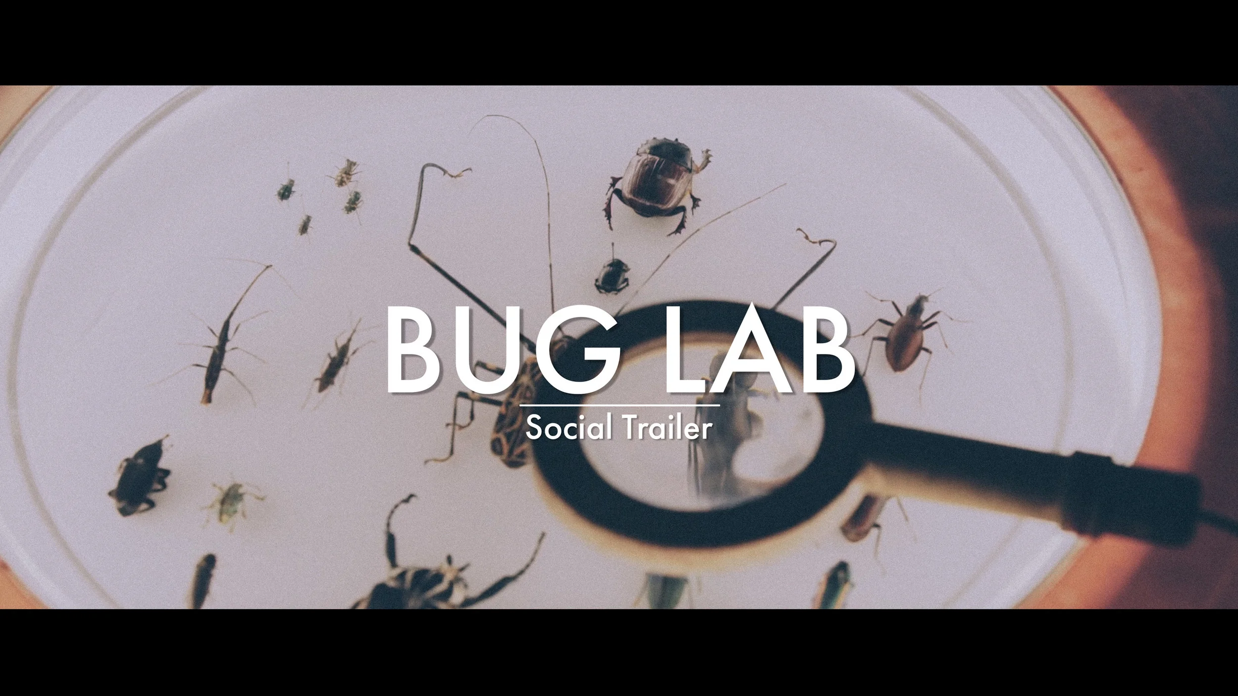 Tiny Empire Collective - Bug Lab