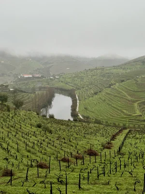 Kay's Blog..Blog de Kay..Blog da Kay — Quinta do Tedo