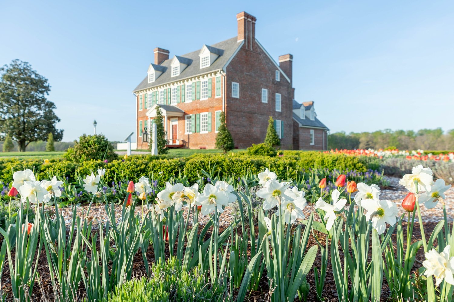 Historic Preservation Architecture — KIMMEL STUDIO