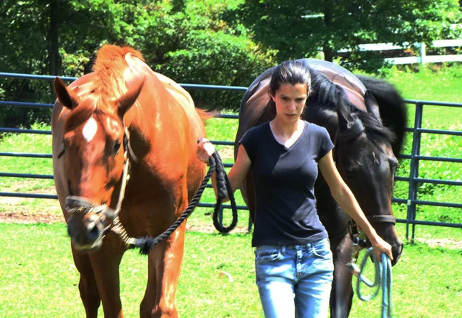Services — Bleecker Street Stables
