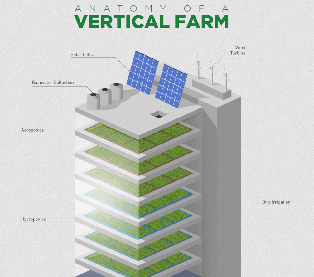 Vertical Farming – Samarth's RCL blogsite
