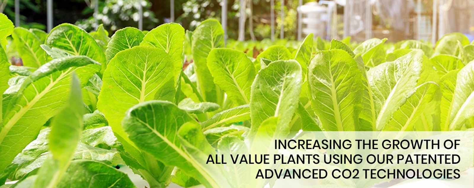 iGrow Pre-Owned-Indoor Vertical Farming News Archive-iGrow Pre-Owned