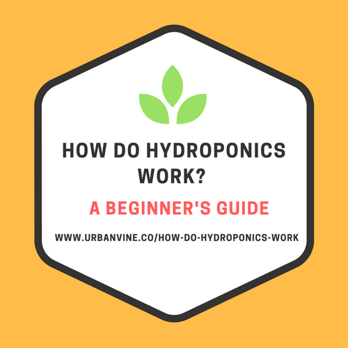 iGrow Pre-Owned-Indoor Vertical Farming News Archive-iGrow Pre-Owned