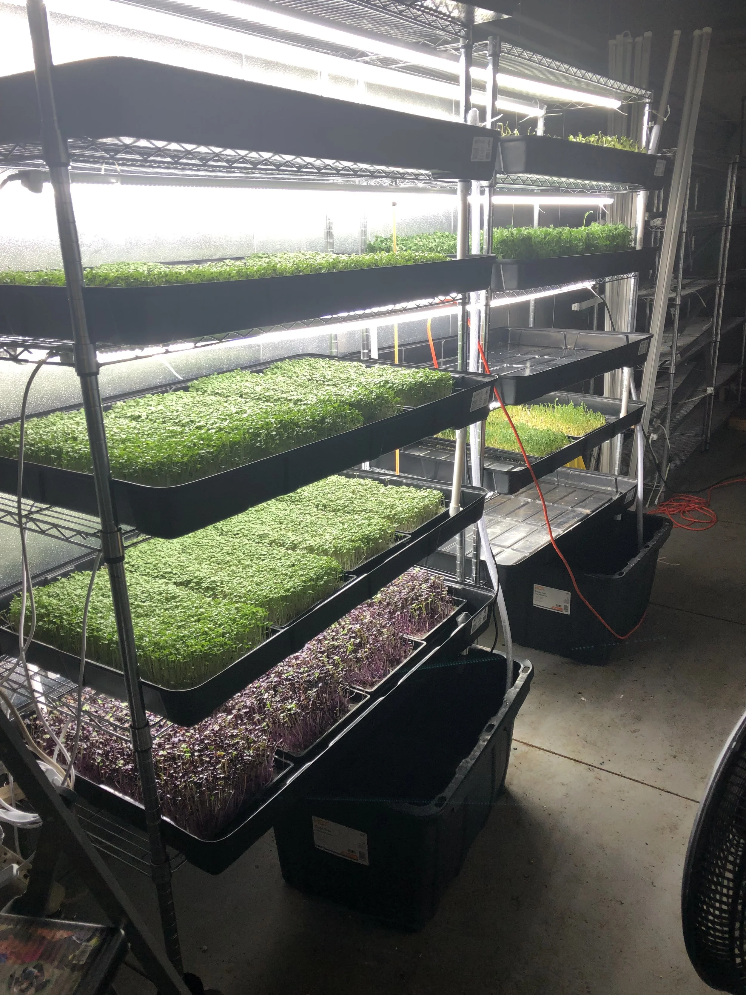 iGrow Pre-Owned-Shipping Container Farms For Sale | Pre-Owned Freight ...