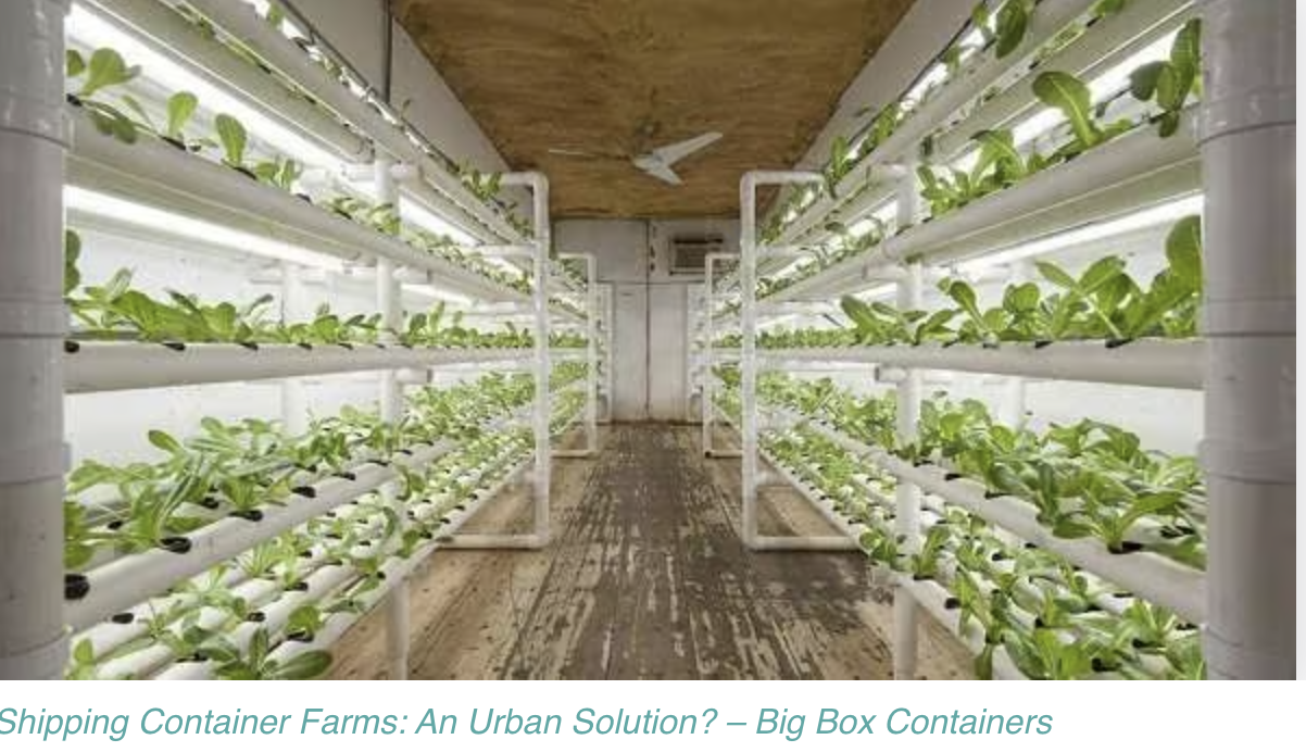 iGrow Pre-Owned-Shipping Container Farm News-iGrow Pre-Owned