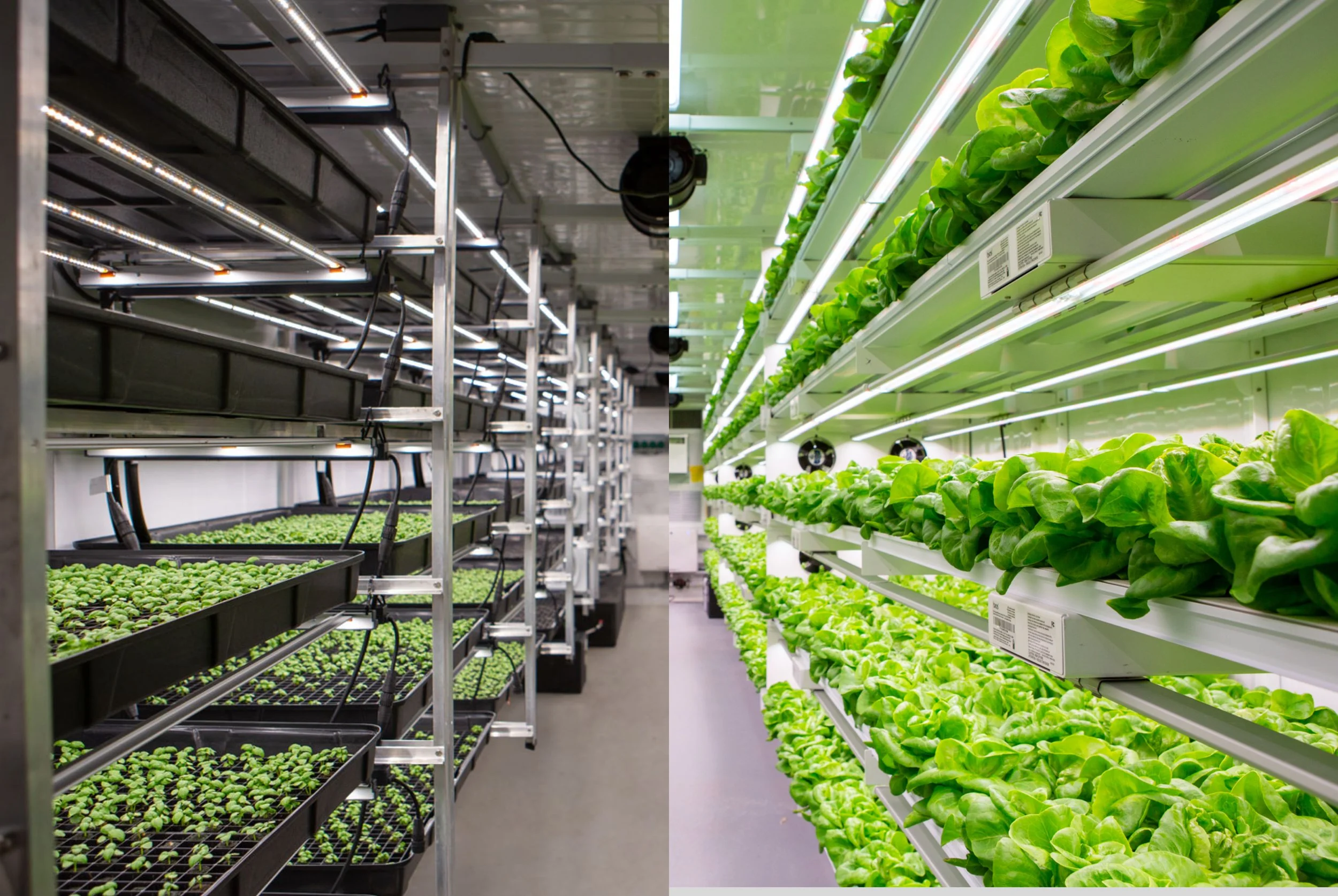 iGrow Pre-Owned-Shipping Container Farm News-iGrow Pre-Owned