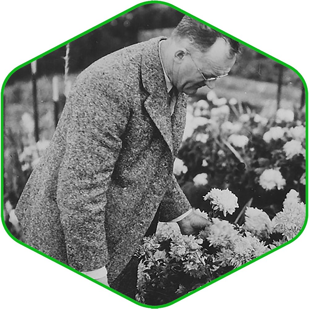 iGrow Pre-Owned-Shipping Container Farm News-iGrow Pre-Owned