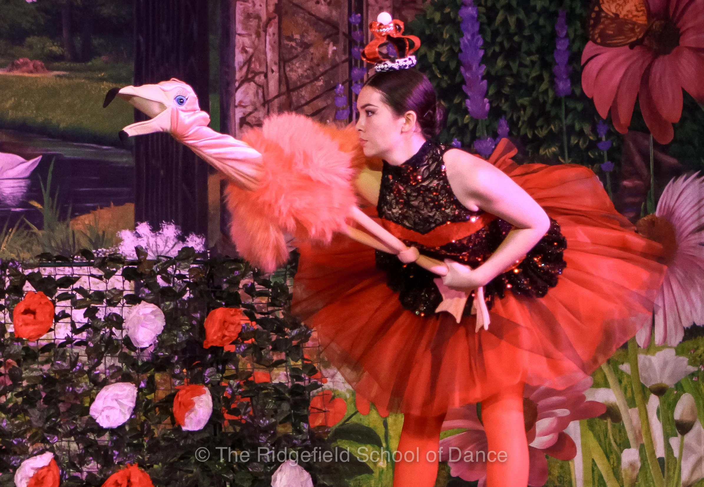 Alice in Wonderland — The Ridgefield School of Dance