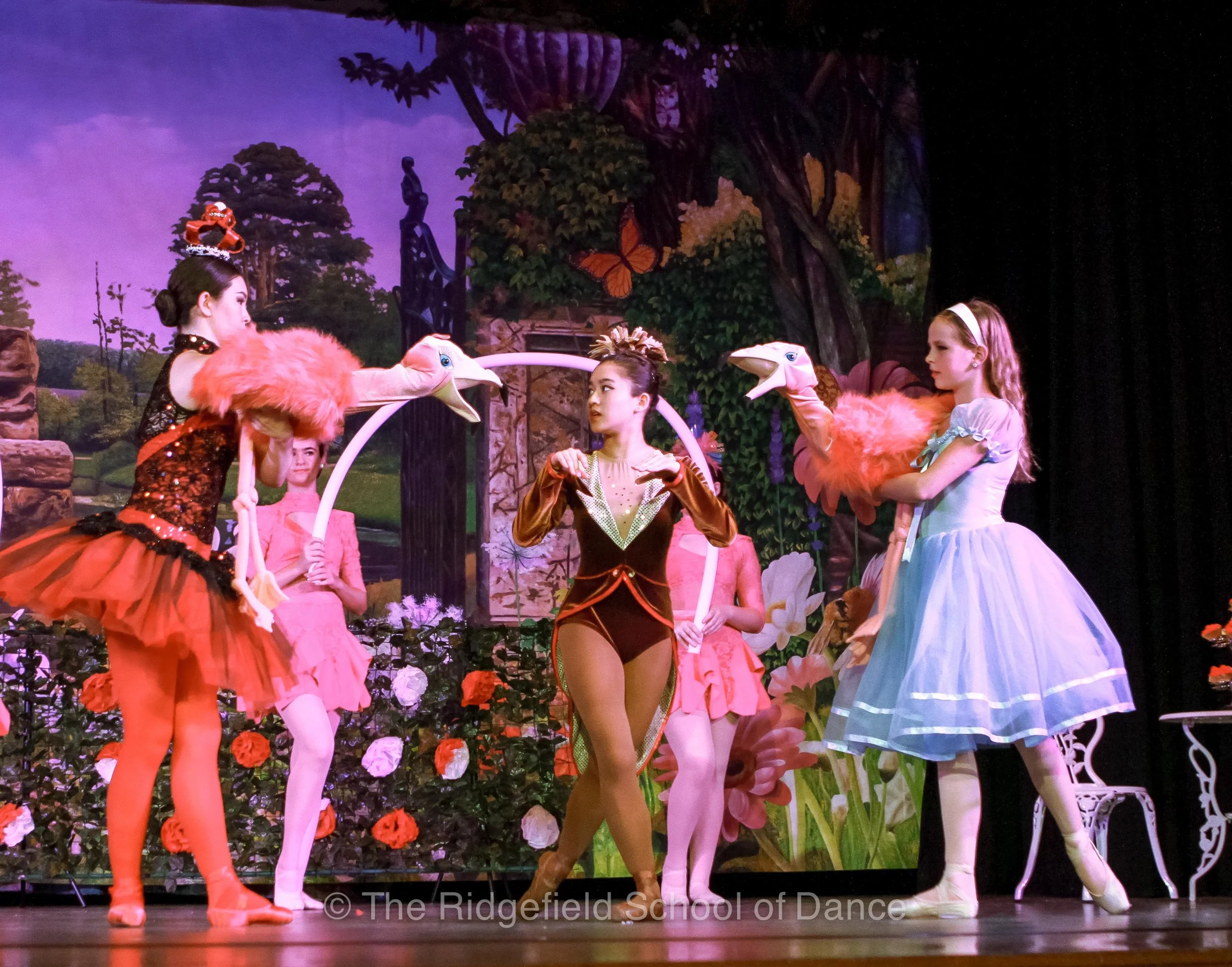 Alice in Wonderland — The Ridgefield School of Dance