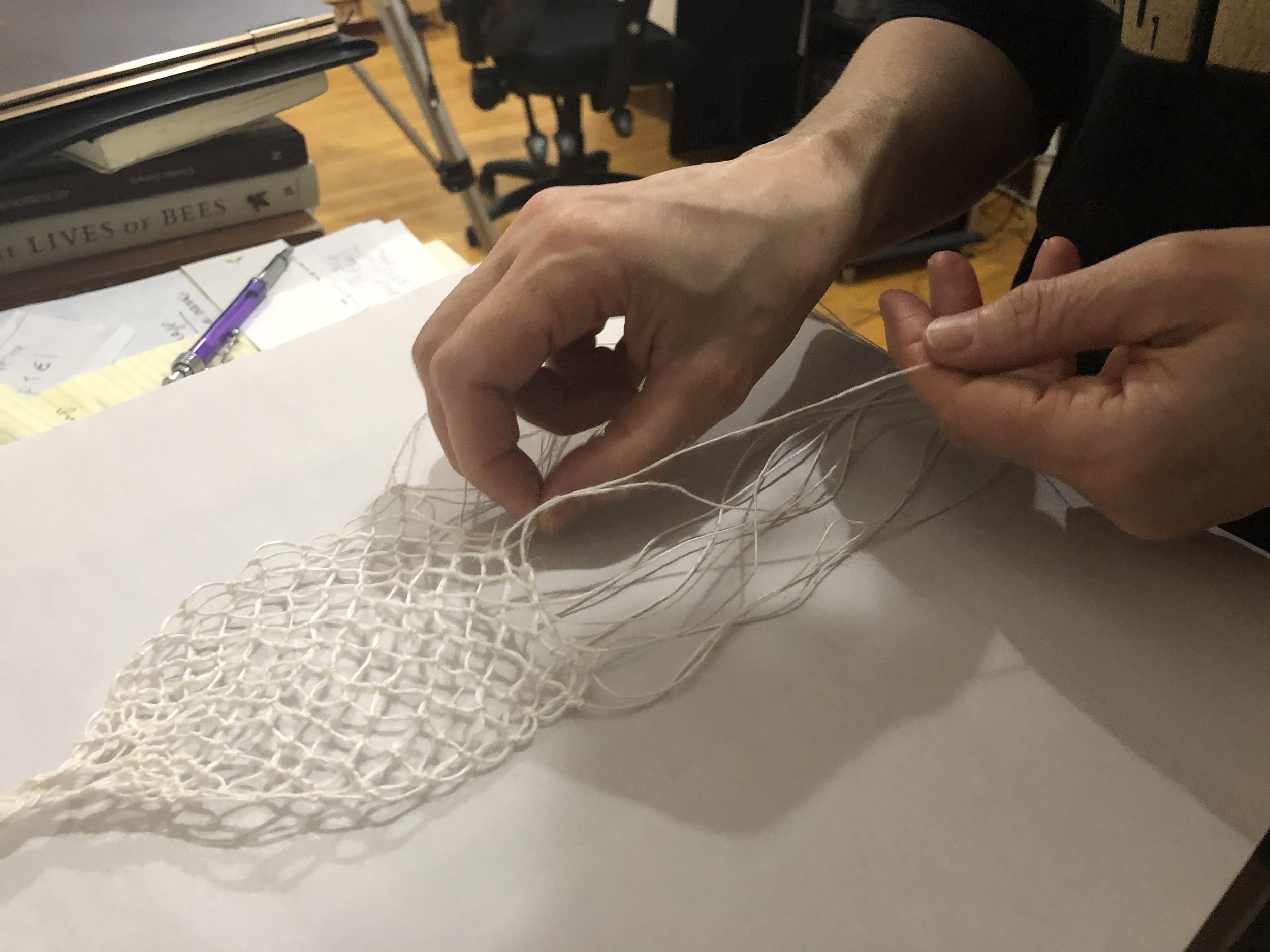 ALMA — Catya Plate