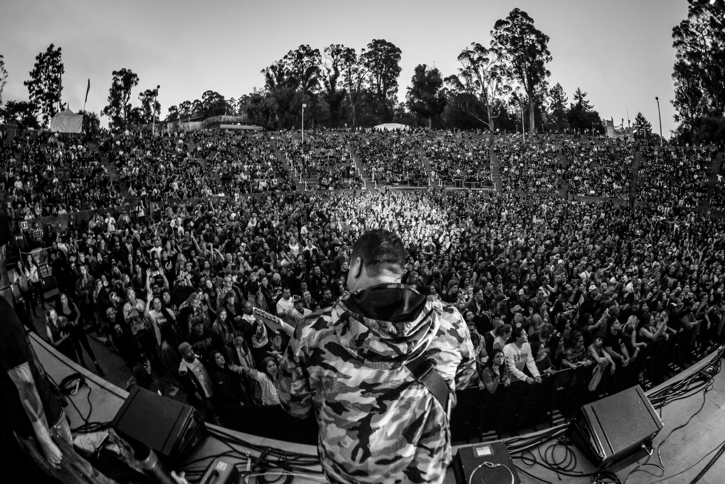 Music & Video — The Green