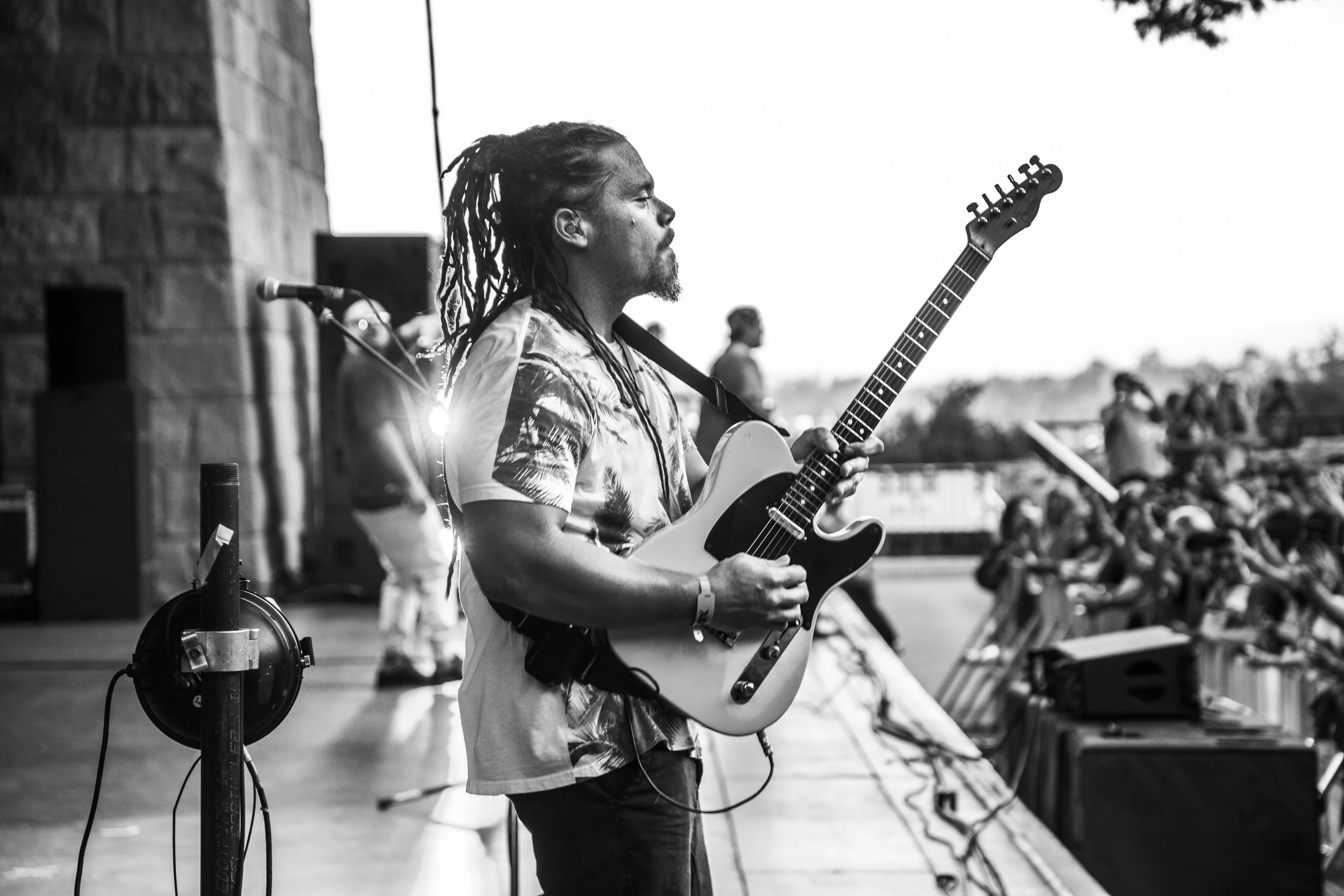 Music & Video — The Green