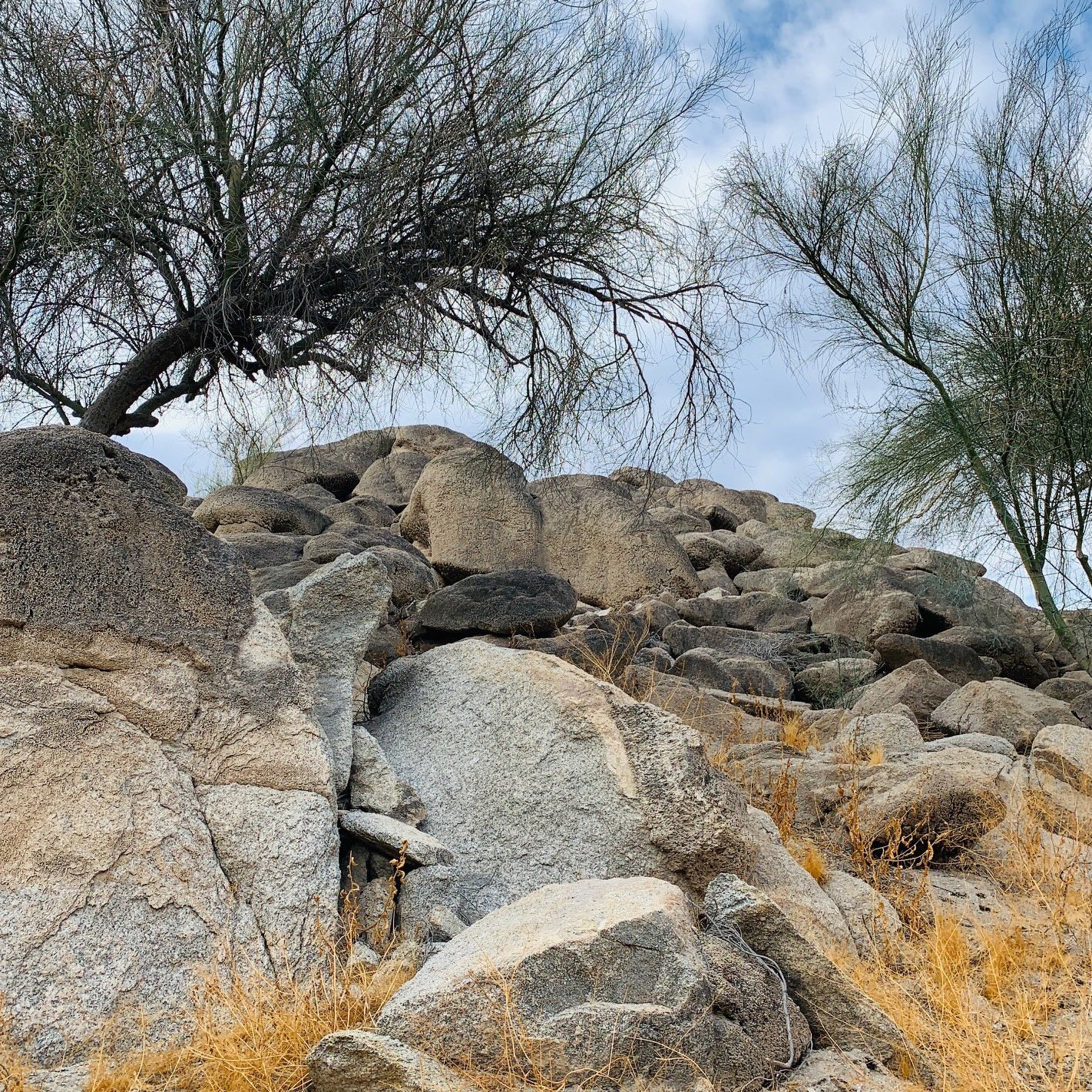 Friends of the Desert Mountains News and Updates — Friends of the ...