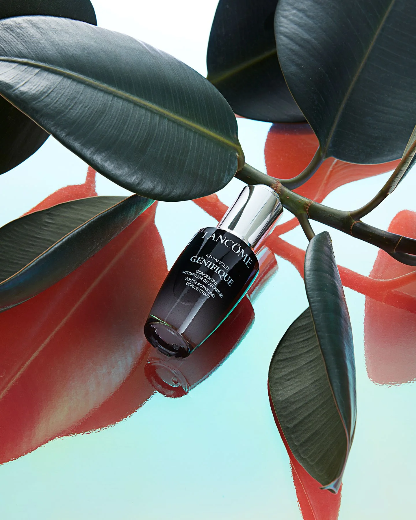 Junichi Ito Still life photographer NY - TOKYO — JUNICHI ITO