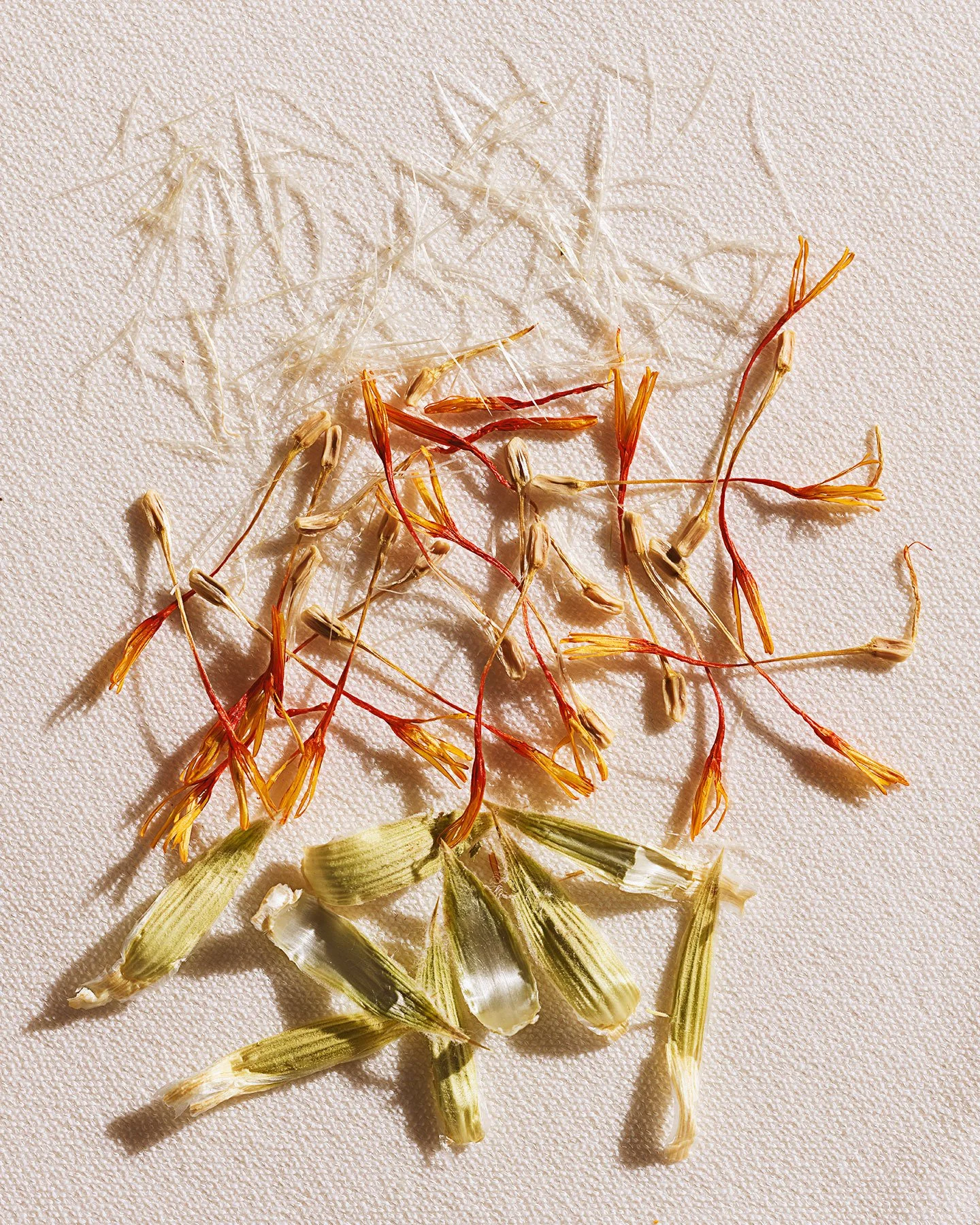 Junichi Ito Still life photographer NY - TOKYO — JUNICHI ITO