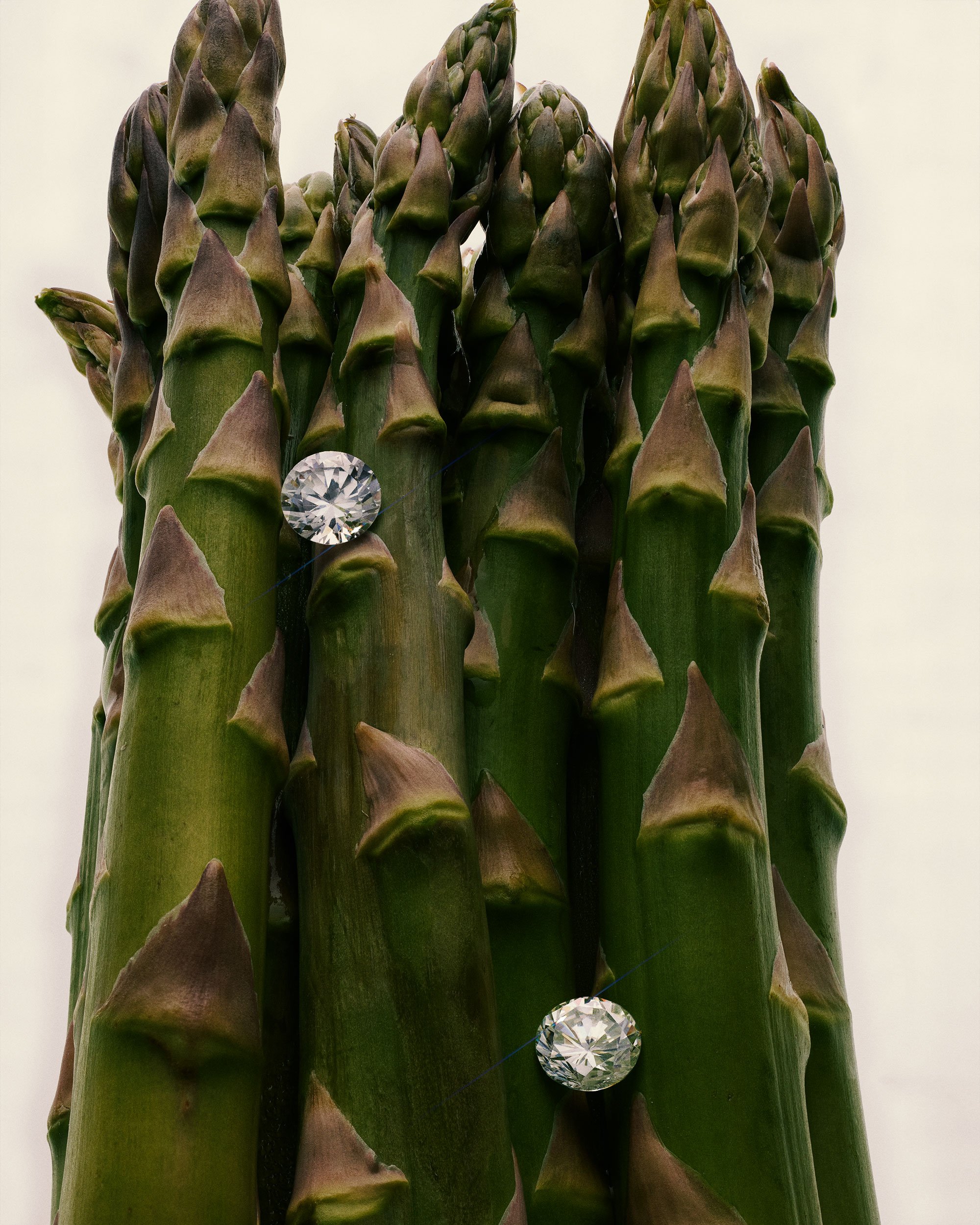 Junichi Ito Still life photographer NY - TOKYO — JUNICHI ITO