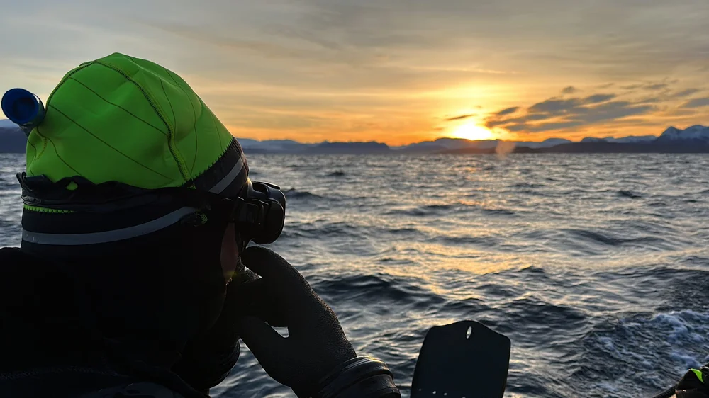 Wildlife Expeditions & Photography Adventures | SDM Adventures