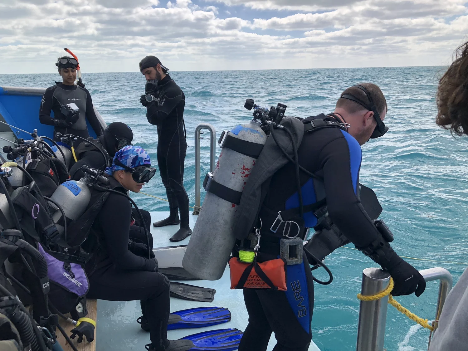 Tiger Shark Diving at Tiger Beach Bahamas — SDM Diving