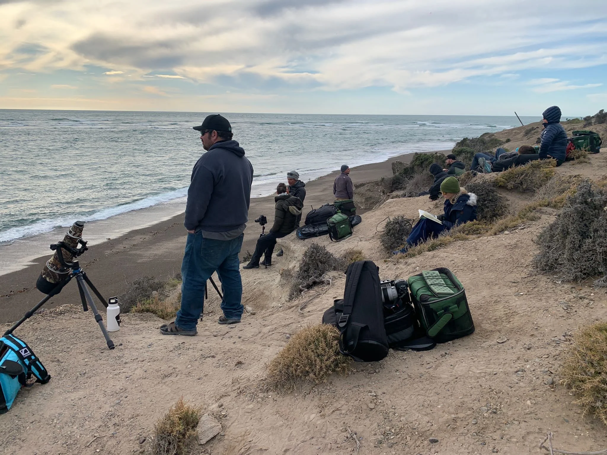 Patagonia's Beaching Orcas — SDM Diving