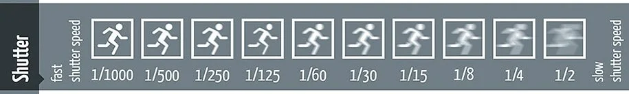 Shutter Speed: Freezing Moments Underwatertem_title% – Wildlife ...