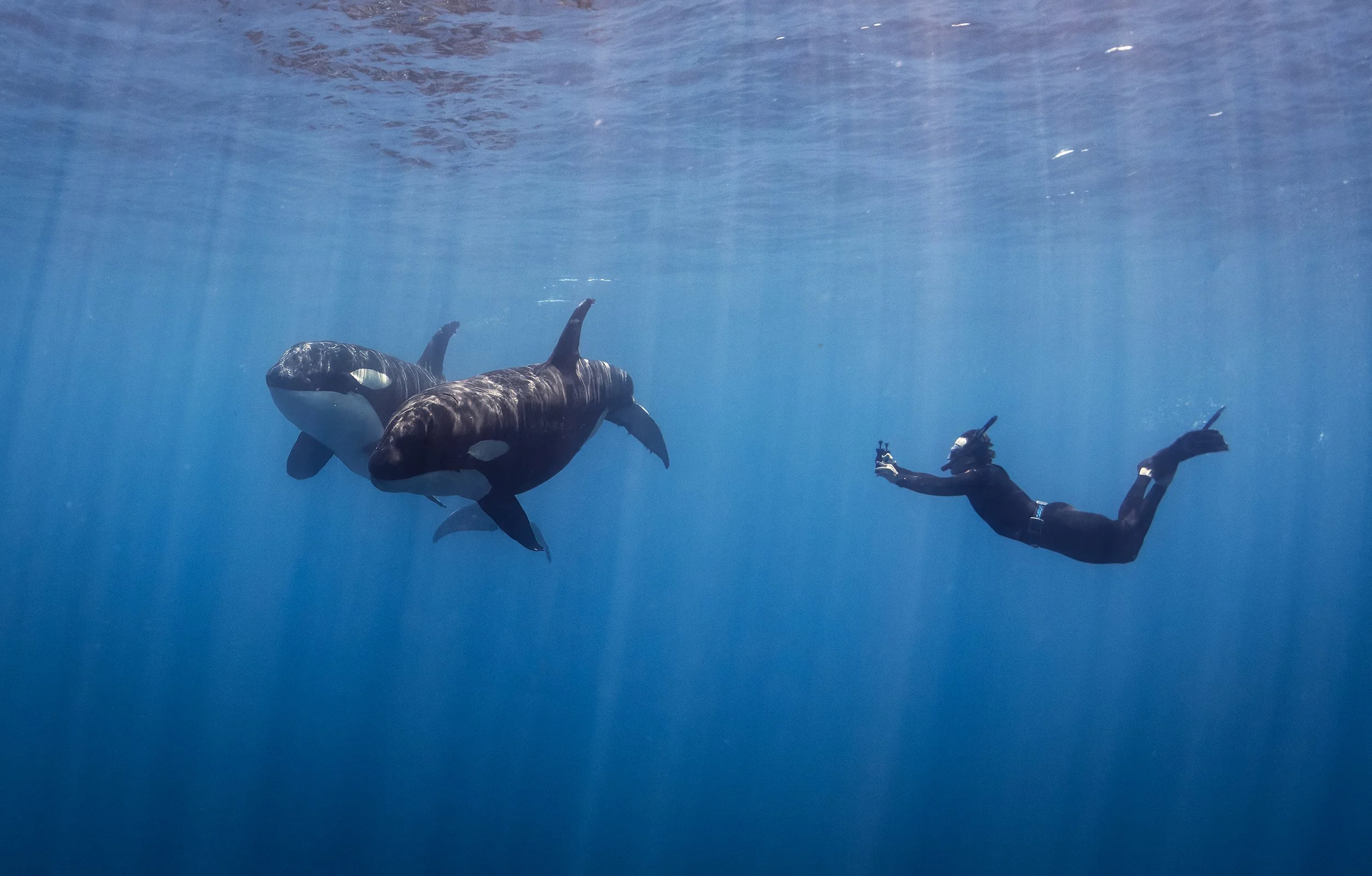 Wildlife Expeditions & Photography Adventures | SDM Adventures
