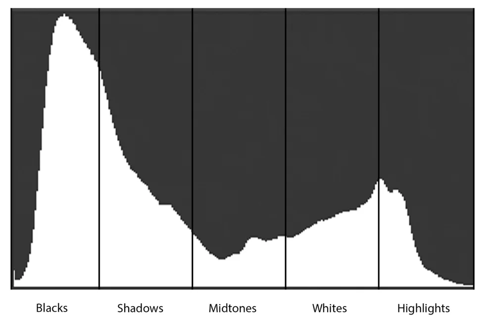 The Histogram: Your Underwater Photography Lifeline — SDM Diving