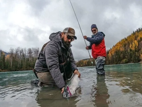 Land Big Fish | Tips for Landing Big Fish