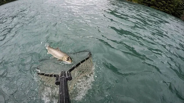 Land Big Fish | Tips for Landing Big Fish