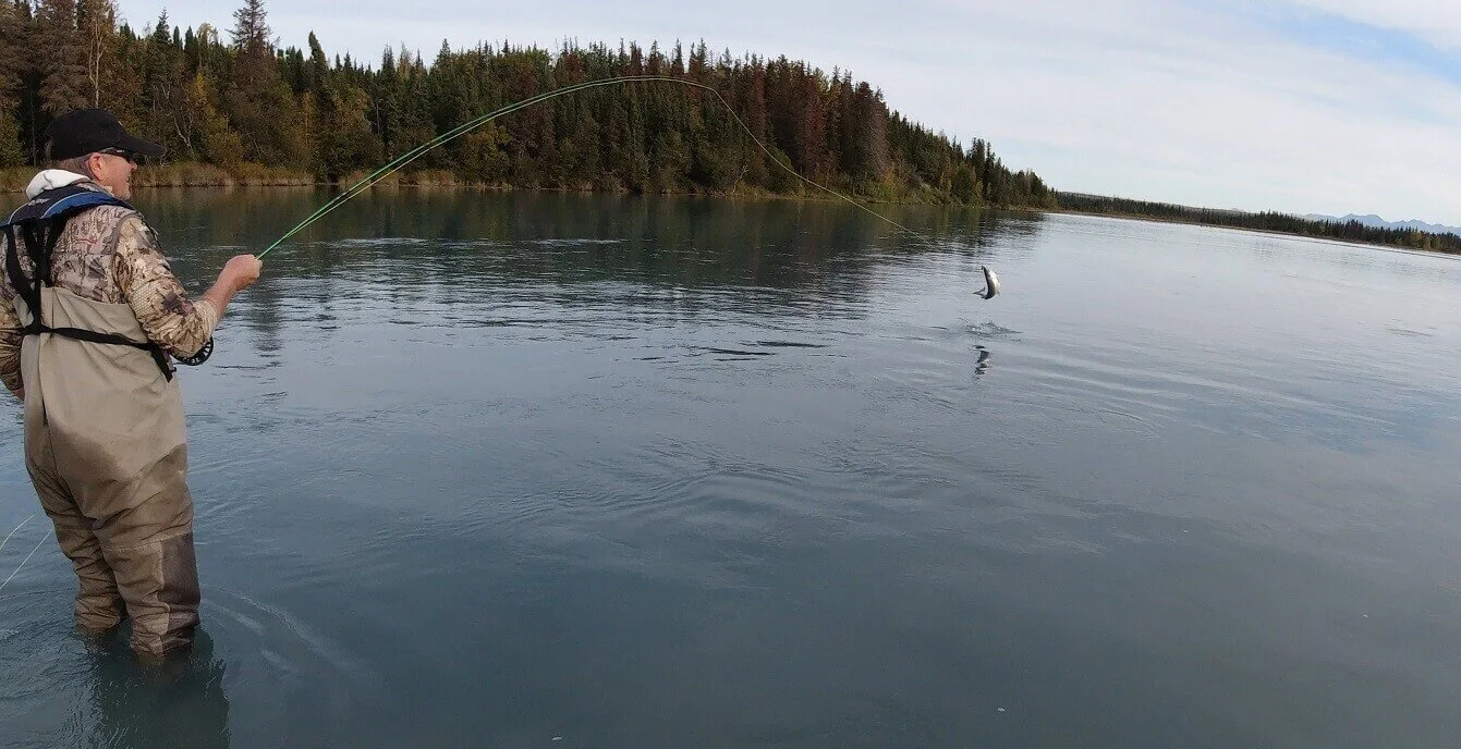 Land Big Fish | Tips for Landing Big Fish
